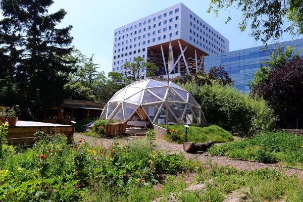 The 5 coolest outdoor workspaces this summer - StartupJuncture